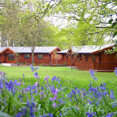 Modular Classrooms | Modular School Buildings | Norwegian Log